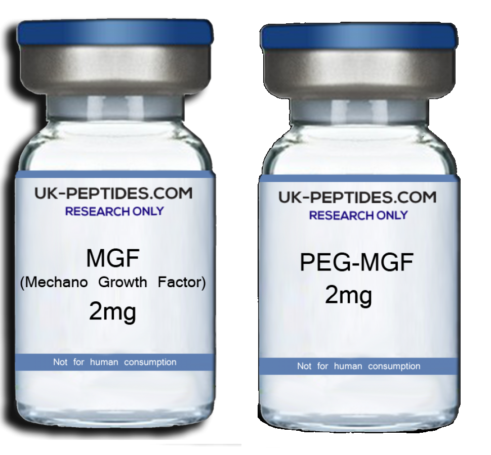 MGF E PEG-MGF (MECHANO GROWTH FACTOR AND PEGYLATED MECHANO GROWTH ...