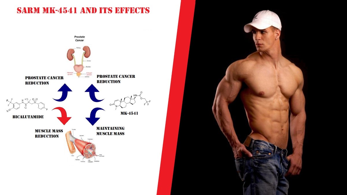 SARM MK-4541 E SUOI EFFETTI – BioGenTech – Sport and Health