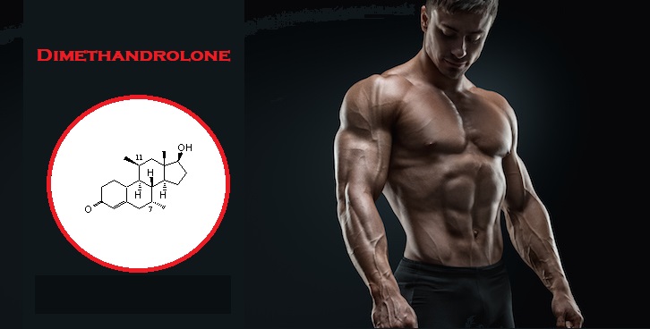 Dimethandrolone (Dimethyl-Nandrolone) – BioGenTech – Sport and Health