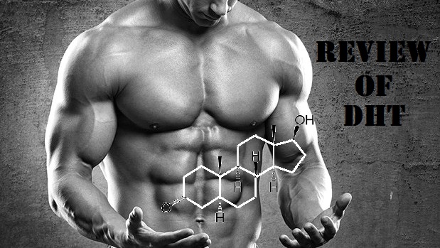 Dihydrotestosterone (DHT) – ipotesi e realtà di un metabolita del ...