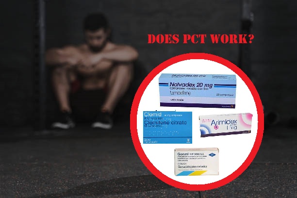 L’efficacia della PCT [Post-Cycle Therapy]alla luce dello studio ...