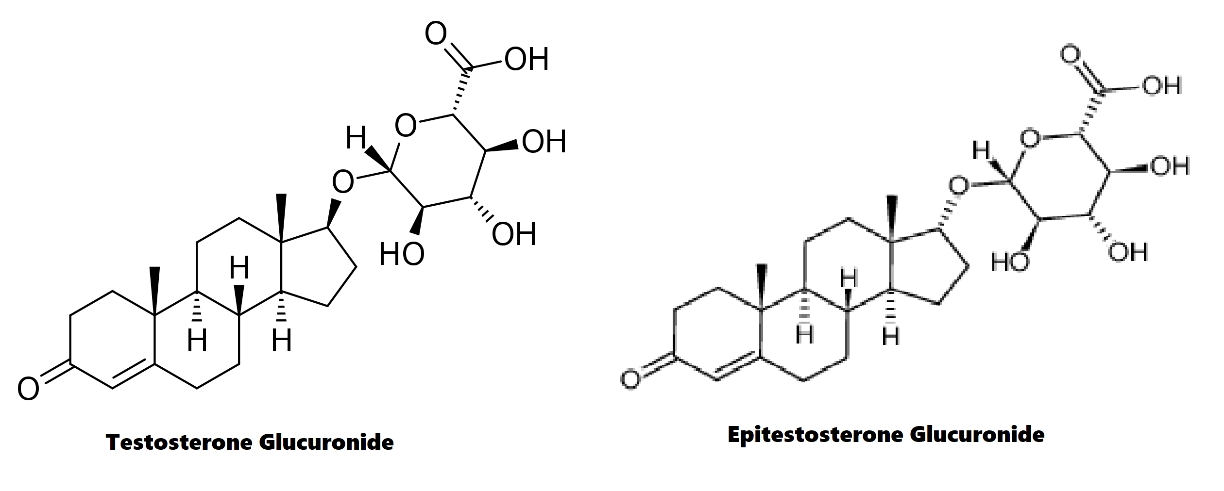 Catechine, gruppi etnici e Test-Antidoping – BioGenTech – Sport and Health